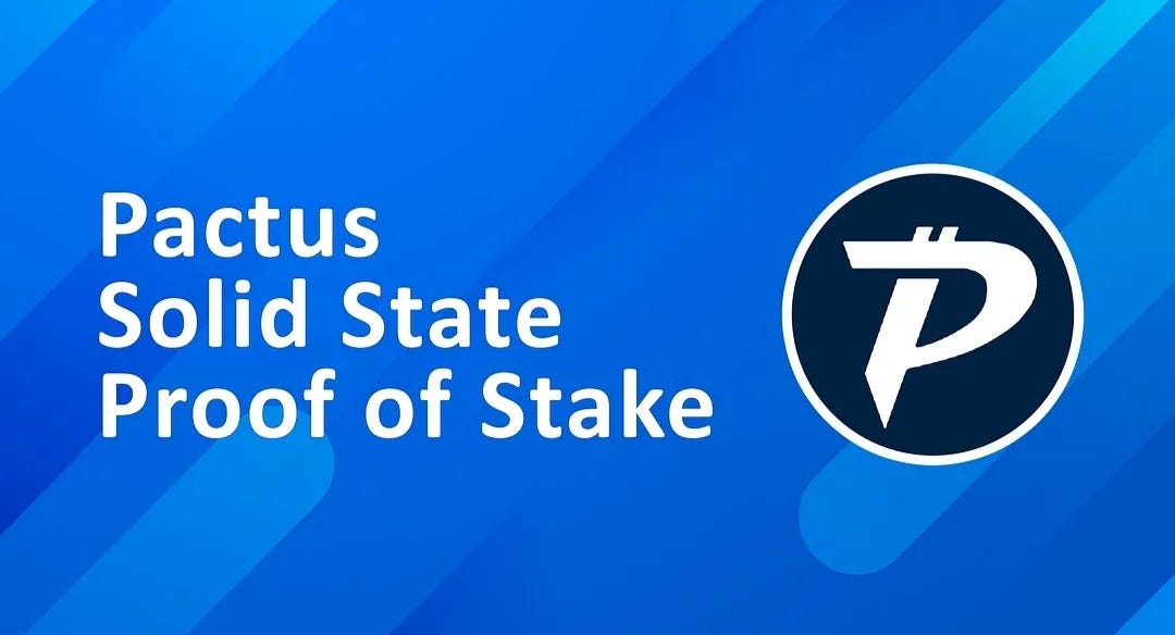 Pactus “Solid State Proof of Stake | by Zmk | Oct, 2024 | Medium