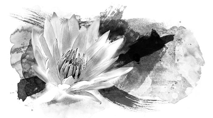 What is Self-compassion?. An interview with Clive Holmes | by Ela Crain ...