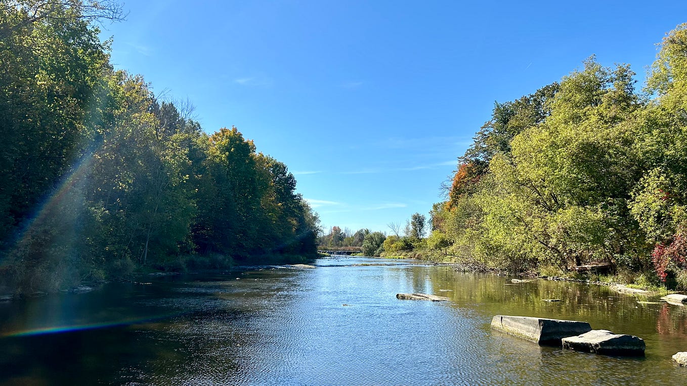 Calming Anxiety & Pain with C.B.T. & Somatic Ways | The Hub Publication