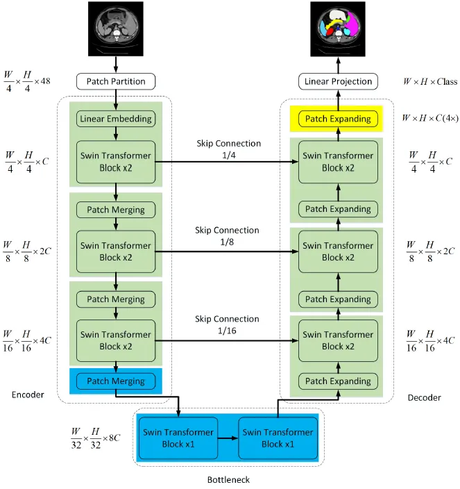 A Practical Demonstration Of Using Vision Transformers In Pytorch 1530