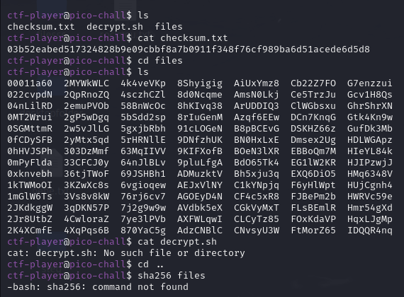 PICOCTF Challenge Writeup (Operation Oni) | by Umer Waqar | Medium