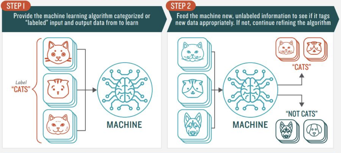 Types of Distances in Machine Learning | by Ujjainee | Analytics Vidhya ...
