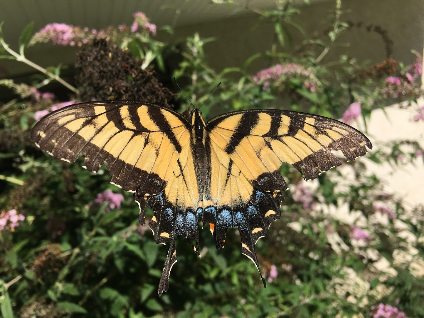 How Poetry Allows Me to Access My Feelings | by George McKinley | Medium