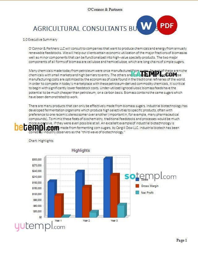 computer programming business plan template in Word and PDF formats ...