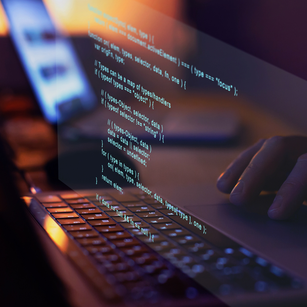 10 Database Examples in Real Life | by Whatdatabase | Medium