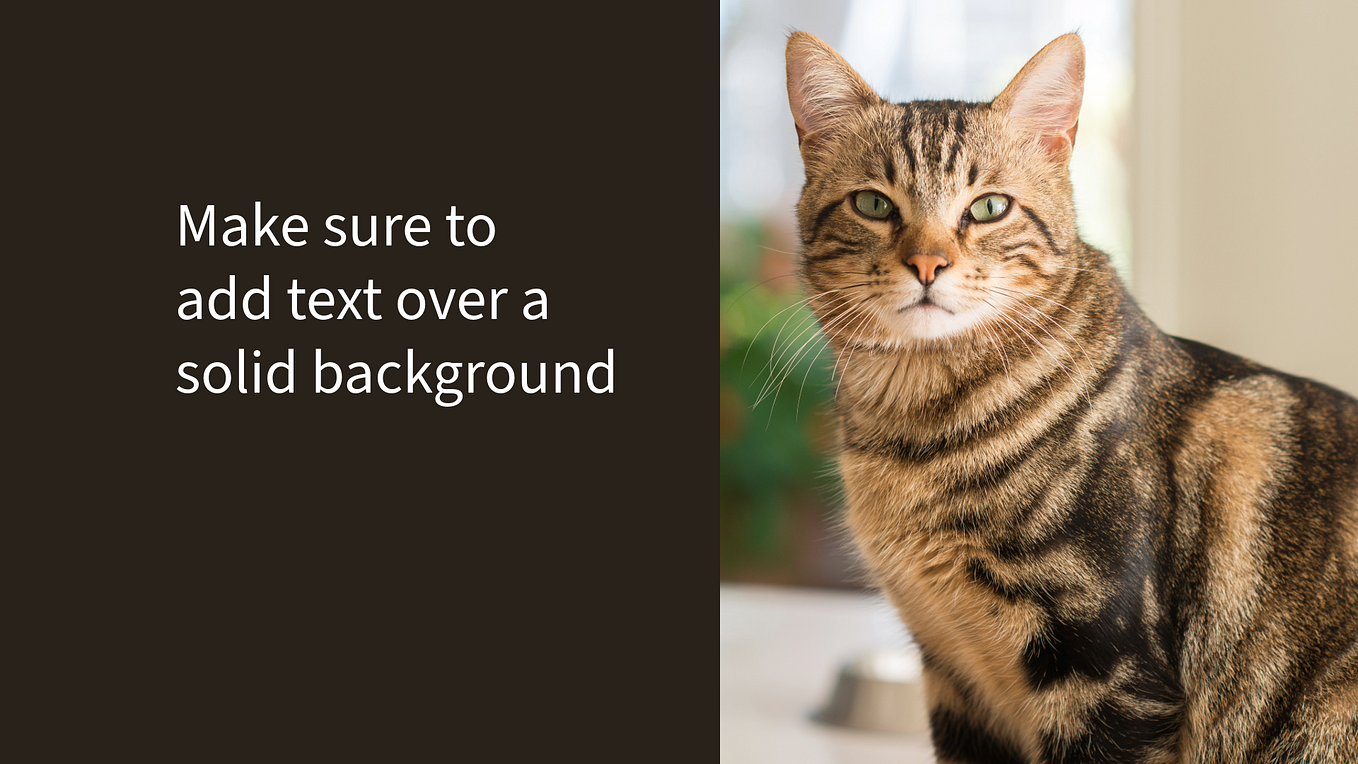 Why Alt Tags Matter: Enhancing Accessibility and User Experience | by A ...