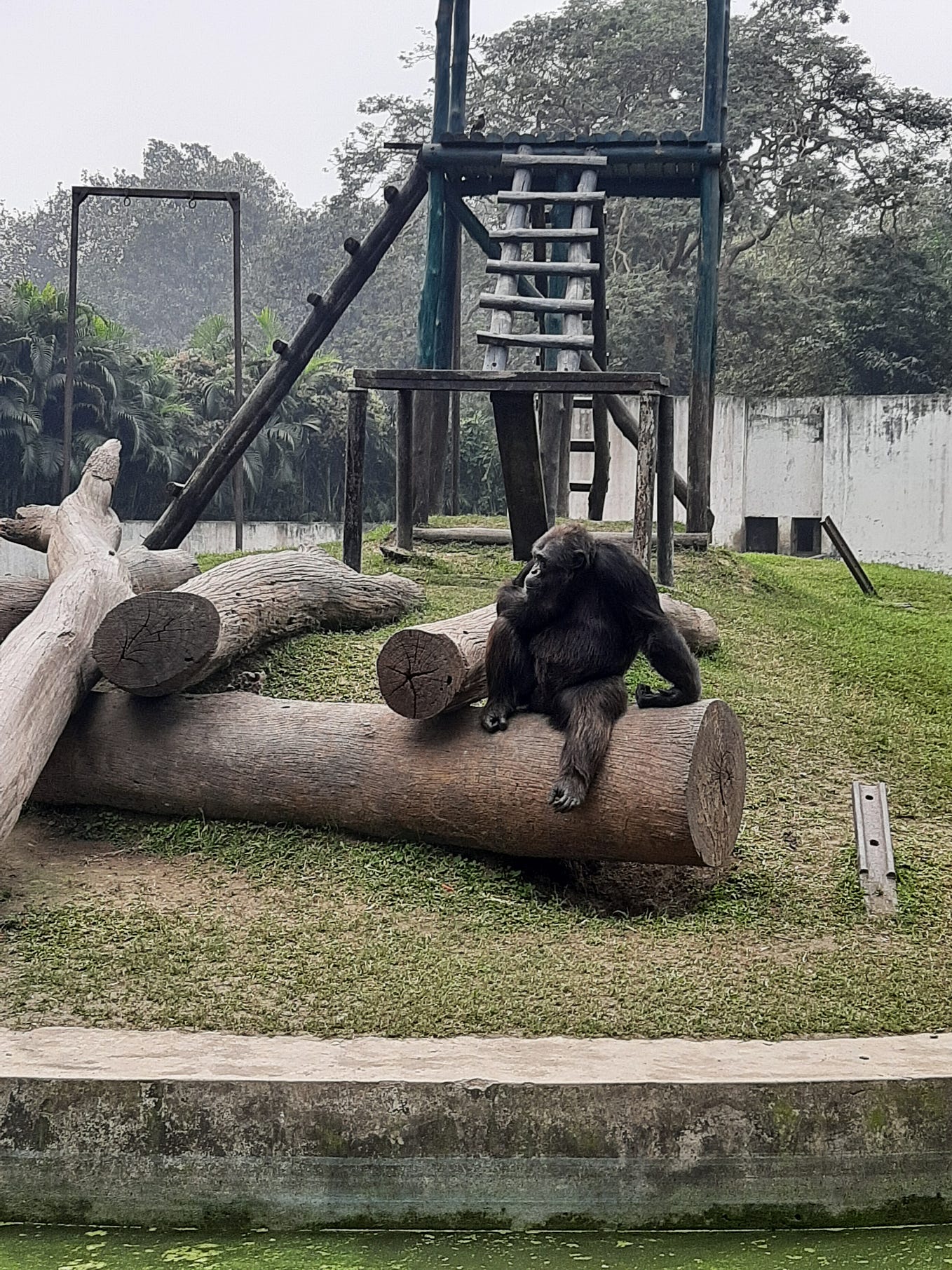 #mar #makaut #themephotography #marpoints #maractivity - Bikash Yadav ...