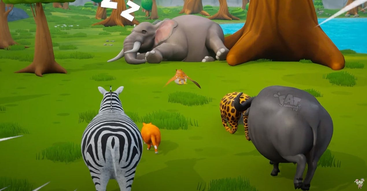 Funny Fat Animals