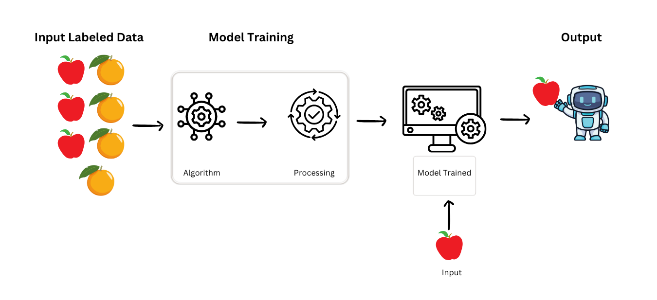 Software Engineer Roadmap | Medium