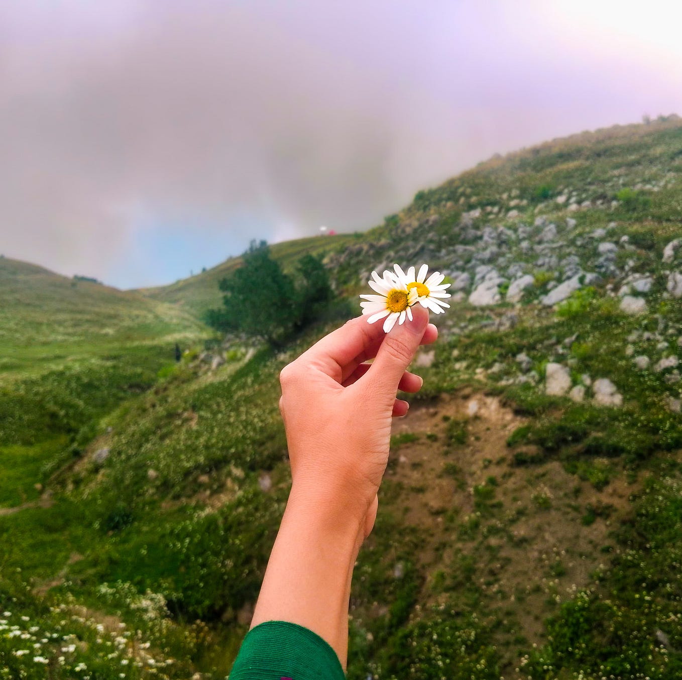 Moments of Meaning: A Pre-Celebration of Appreciation | by Asra Fatima | May, 2025 | Medium