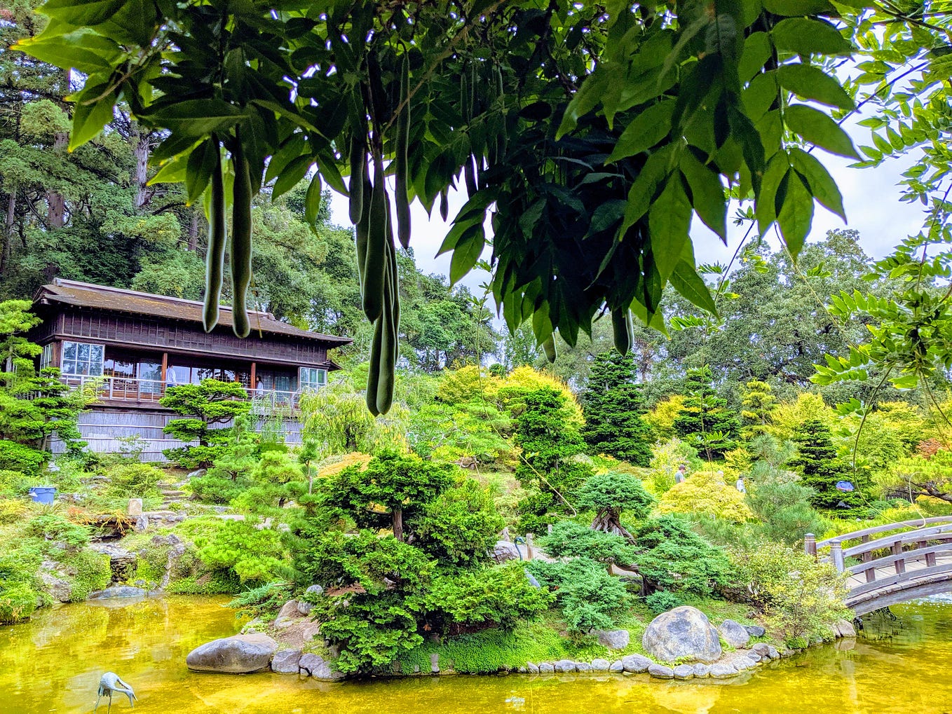 Generalized Advantage Estimation in Reinforcement Learning | by Siwei Causevic | TDS Archive ...