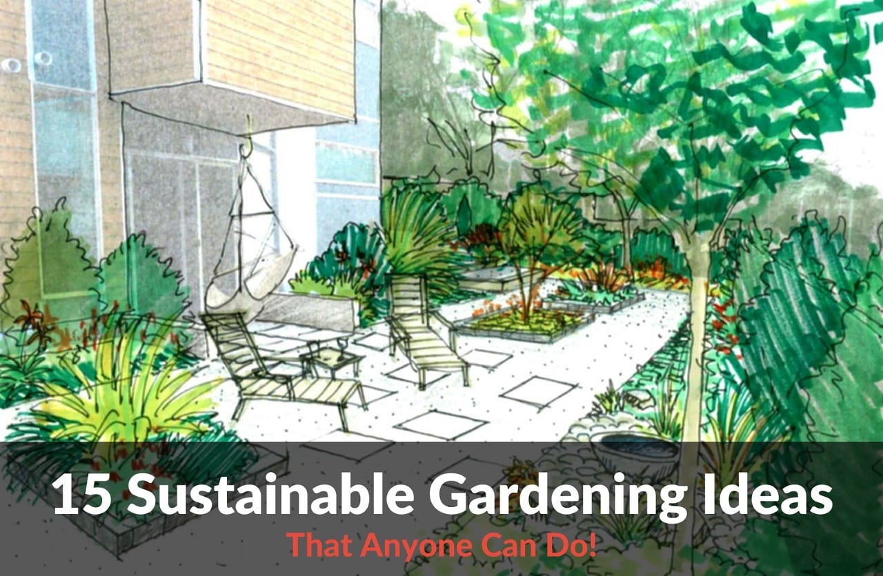 10 Simple Sustainability Practices You Can Do At Home | by ...