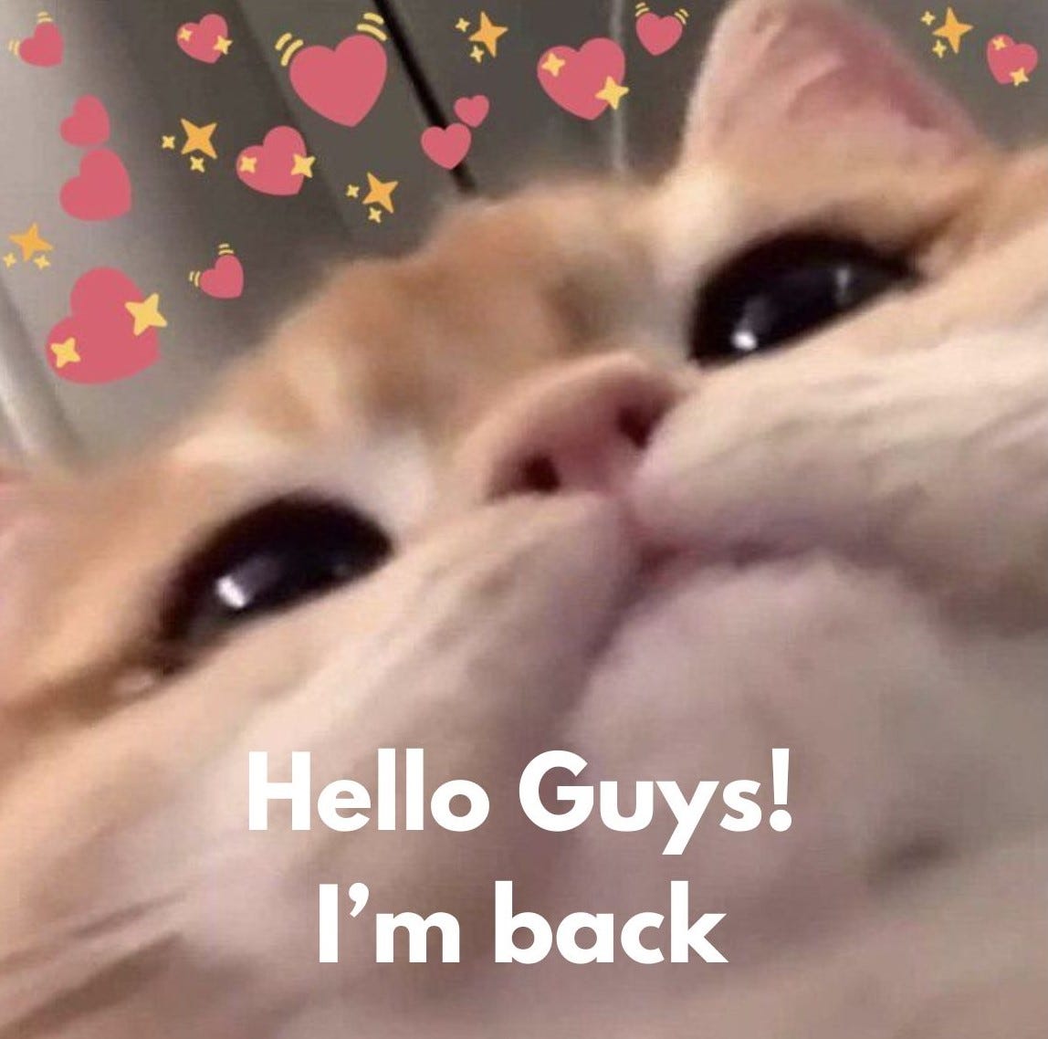 Linear Regression Made Easy!. So you’re ready to dive into the… | by ...