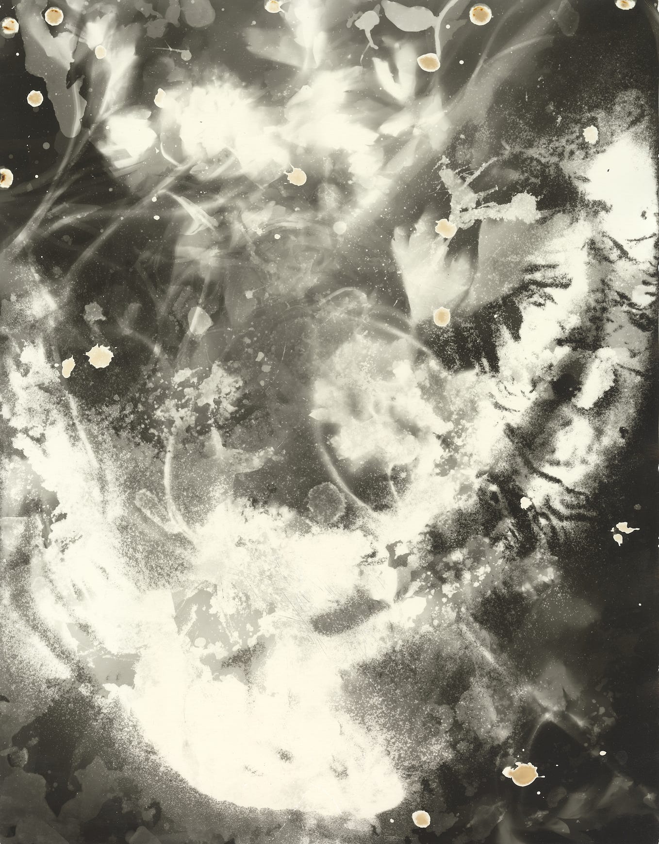 The Artist Questionnaire / № 6 / Becca Thorne | by The Artist ...