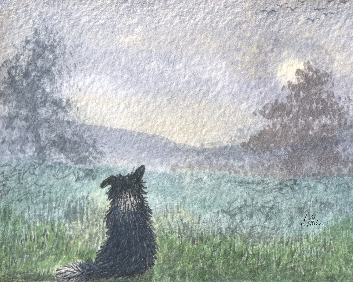 How to Paint a Sky in Watercolour — wet-into-wet with Video ...