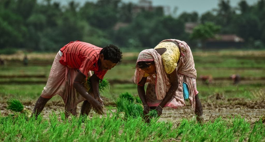 Effective Local Governance through Gram Panchayat Development Plan ...