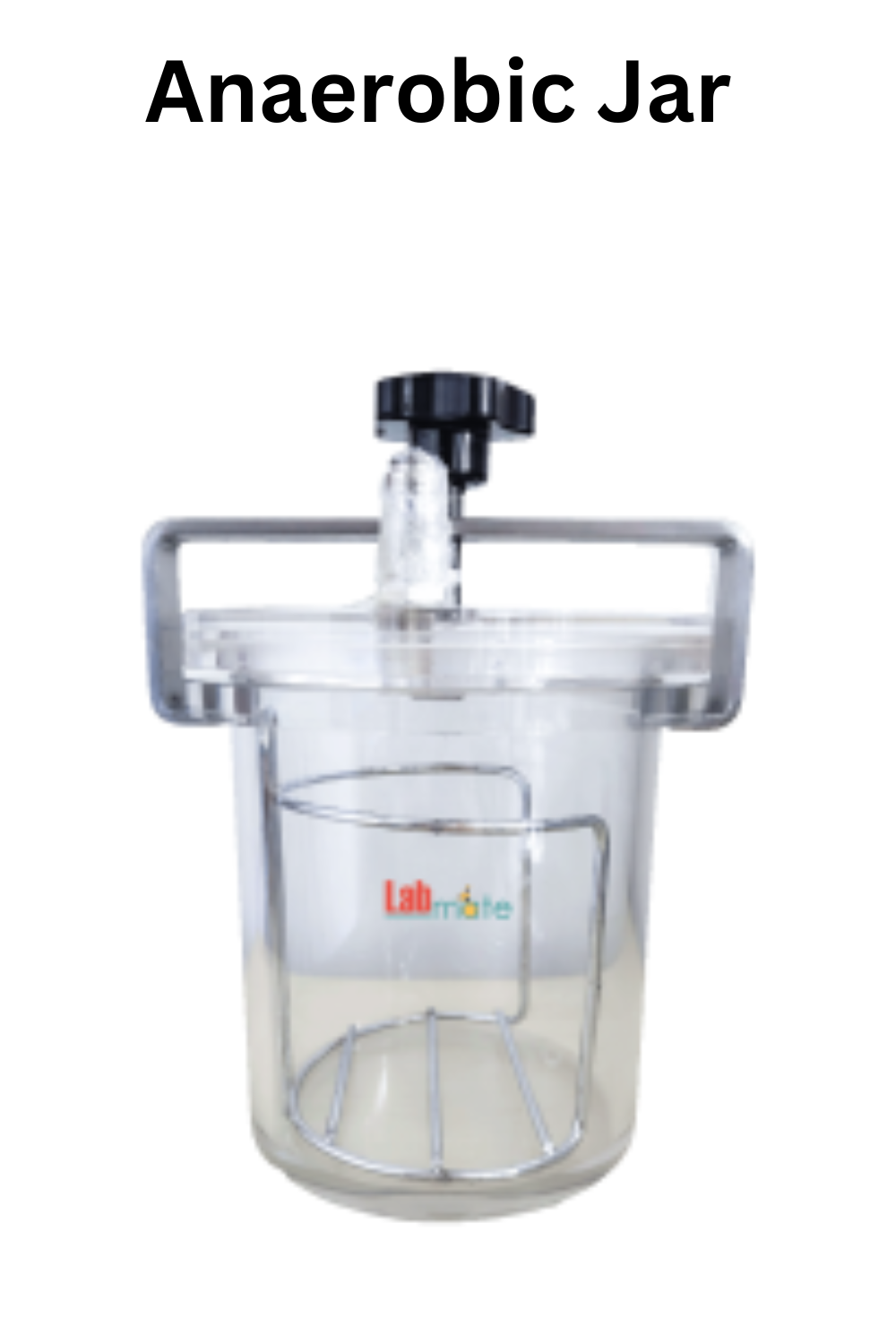 Understanding the Anaerobic Jar 2.5L: A Crucial Tool for ...