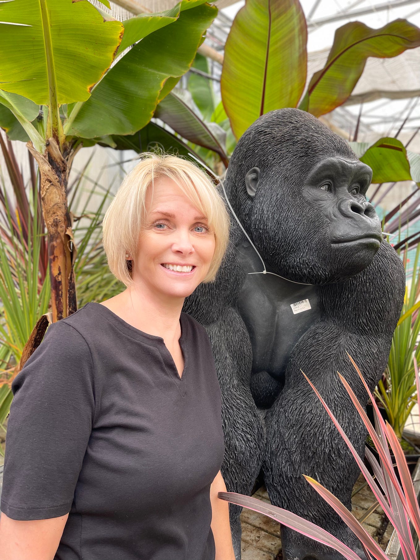 Nancy’s 100-Word Drabble Challenge | by Harry Hogg | Fiction Shorts ...