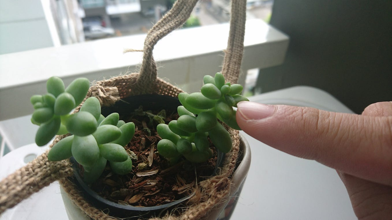 [Unity ECS] Serializing ECS data. ECS provides a way to write all chunk ...