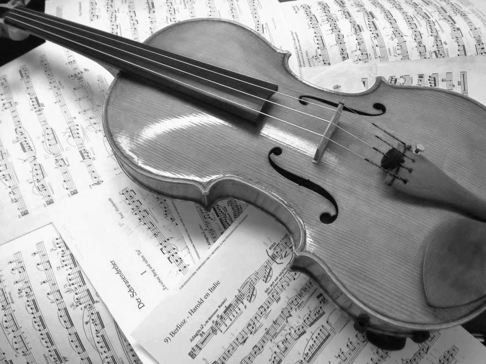 The Musician’s Guide to Air Travel: Violin/Viola | Alto Clef Diaries