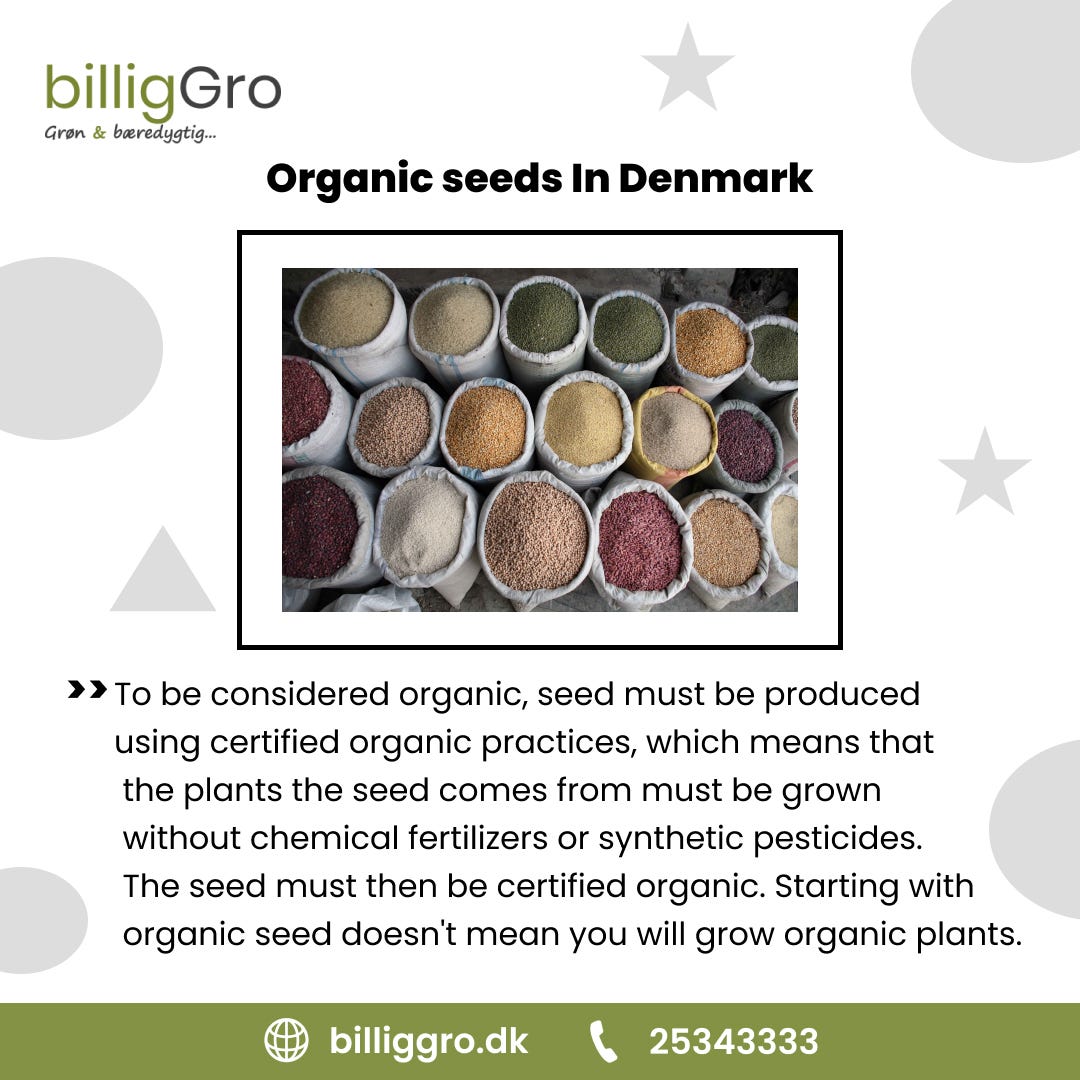 Sustainable Seeds In Denmark - Billiggro - Medium