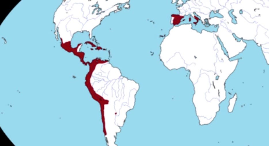 Key developments of 1555. A big year, 1555 CE! Let’s dive right… | by ...