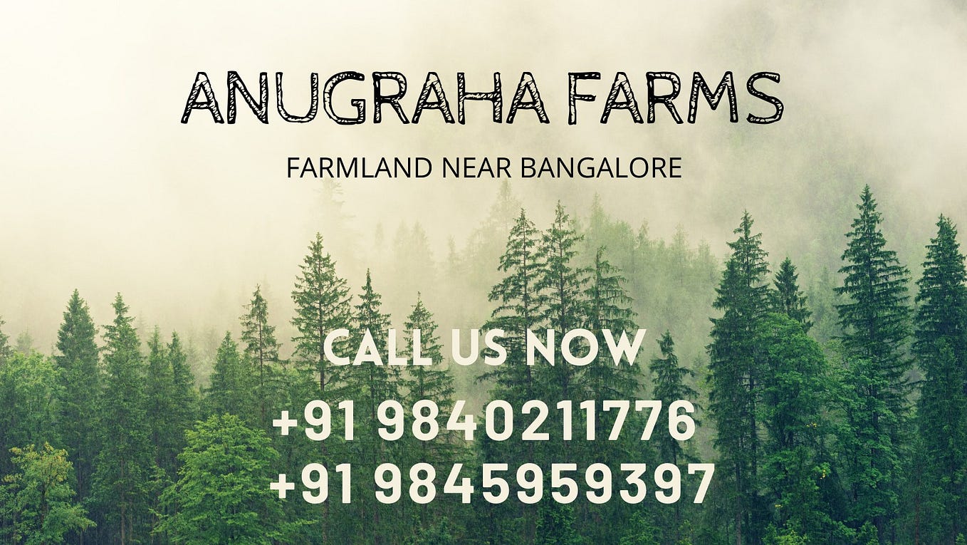 Bountiful Harvests: Best Managed Farmland near Bangalore | by ...