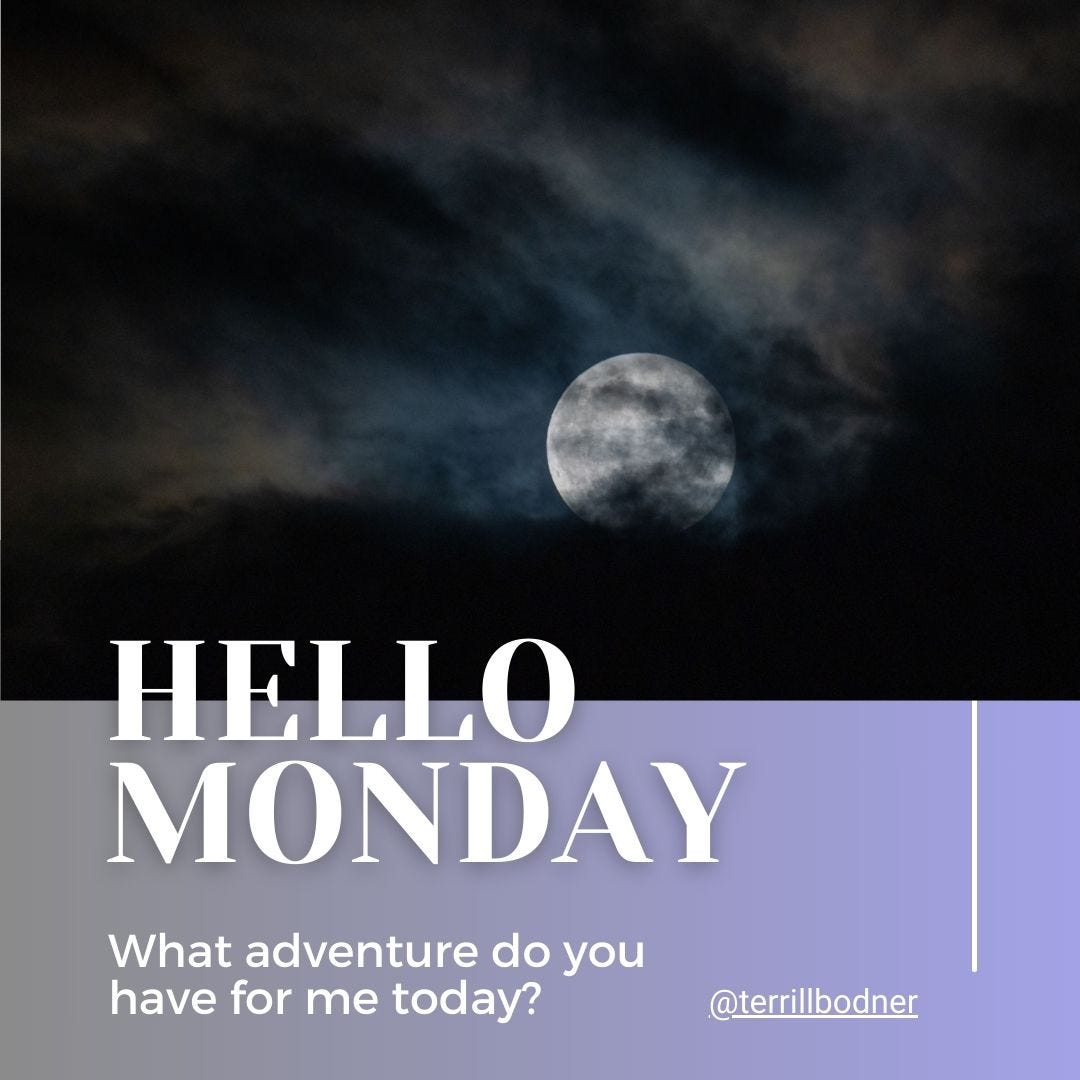 52 Week Photography Project (2025) | by Terrill Bodner | Full Frame ... 52 Week Photography Project (2025) | by Terrill Bodner | Full Frame ...