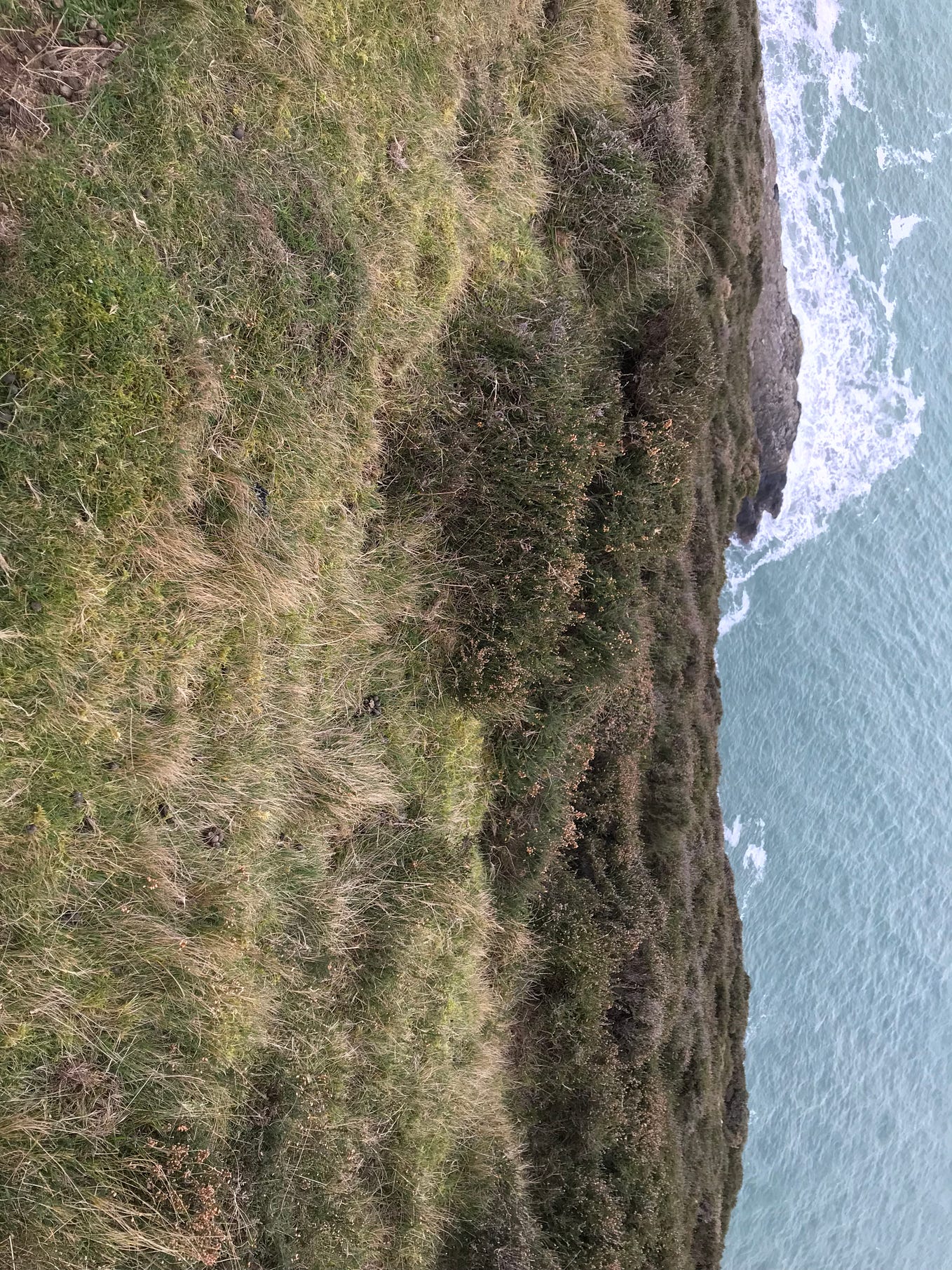 Insights from a year’s walk around England and Wales: | by Laurence ...