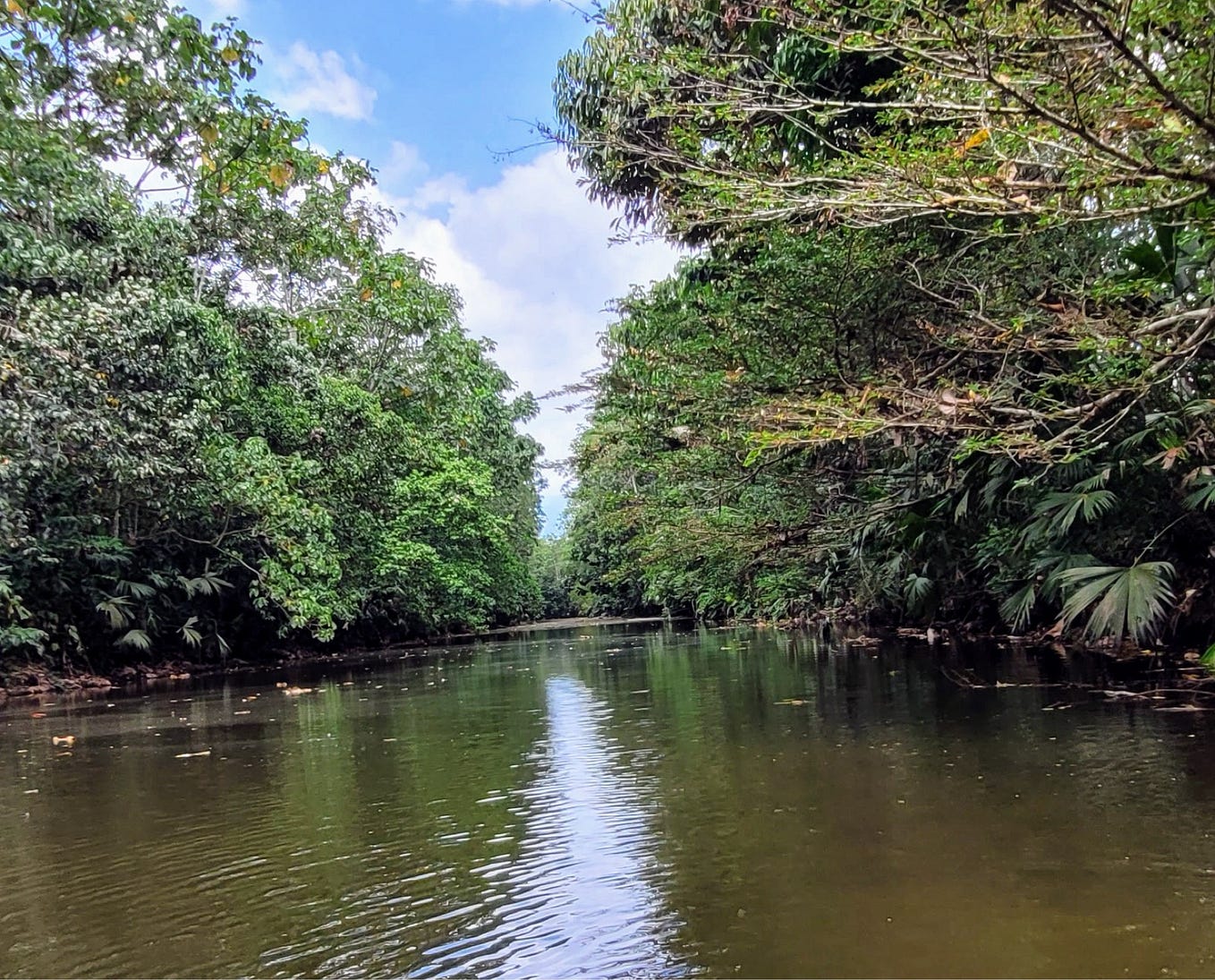 The Vent Is Open and Blowing. Observations and short fiction. | by Bear Kosik | ILLUMINATION ...