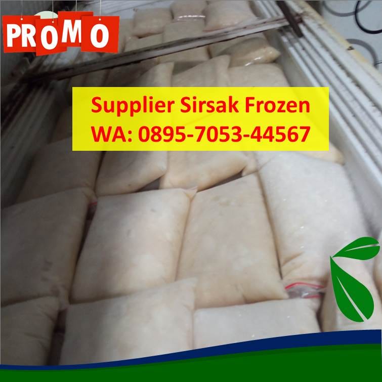 WA: 0895–7053–44–567, Sirsak Frozen Tangerang di Sanur — Bali ...