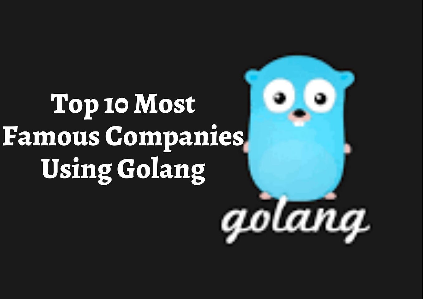 Top 7 The Best IDEs For Developing In Golang | by Bharti Purohit | An ...
