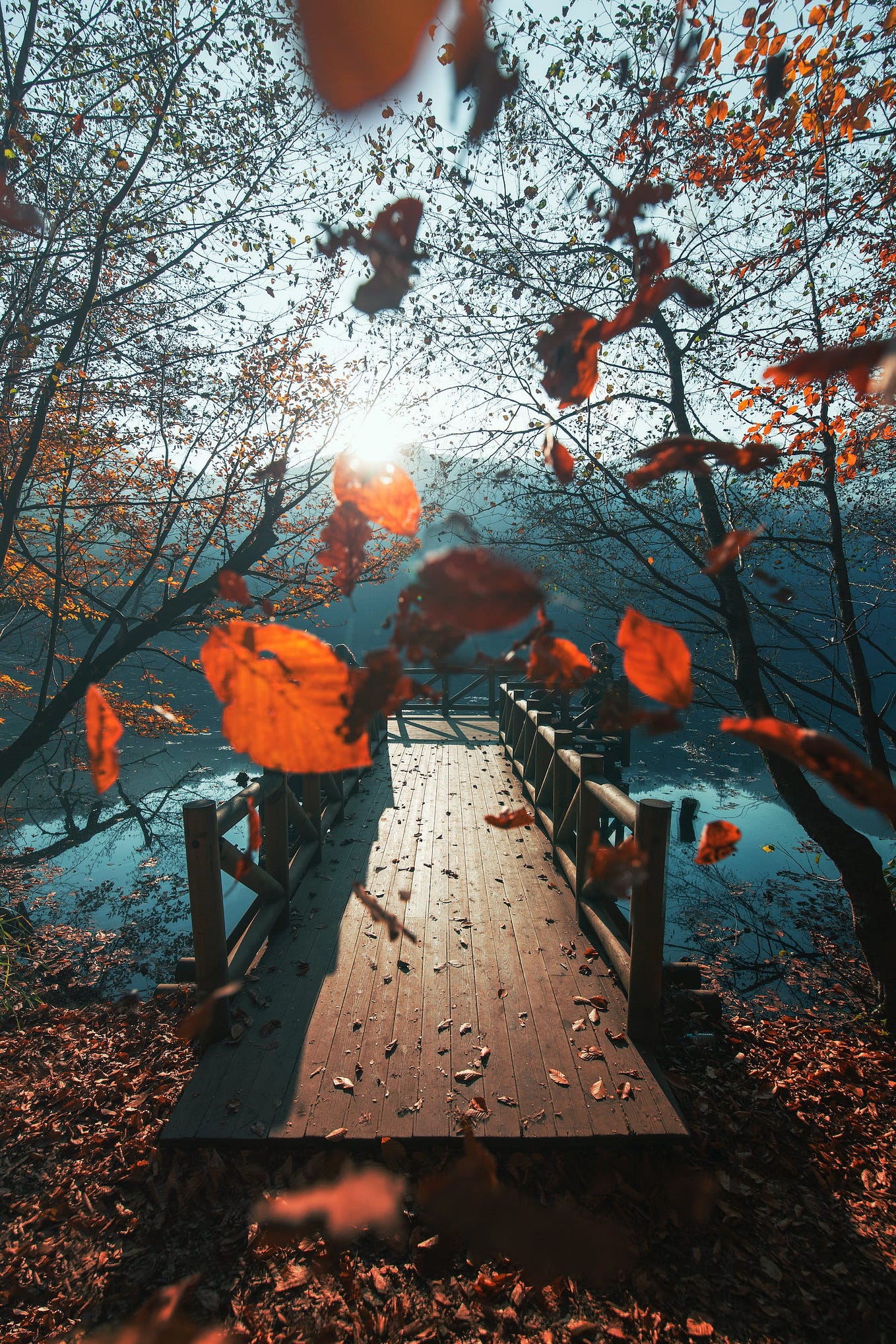 Potholes. A Piece Of Me | by Engnaro Maria | Oct, 2024 | Medium