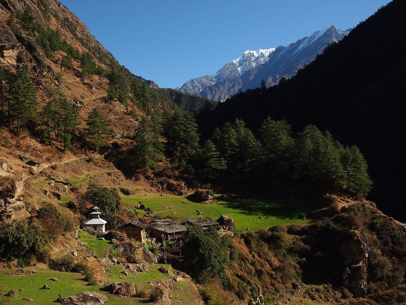 What to Expect during Everest View trek? - Dristi Code - Medium