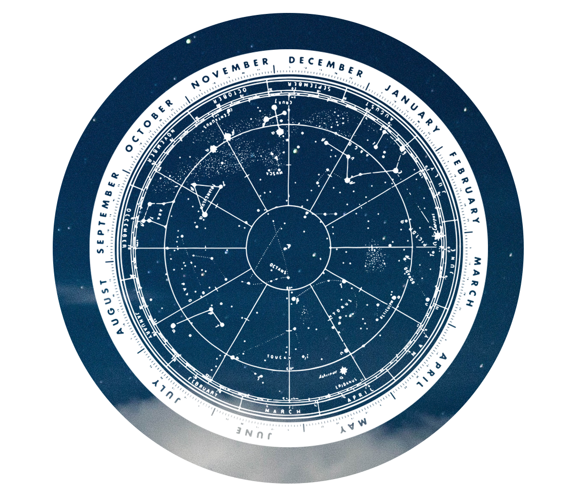 The Meanings of Asteroids in Astrology | by Dreaming Souls | Medium