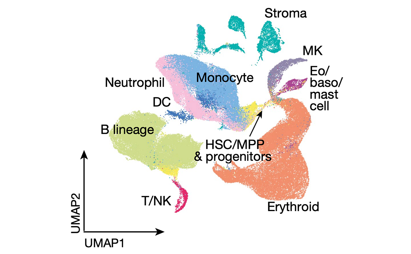 How to convert between Seurat/SingleCellExperiment object and Scanpy ...