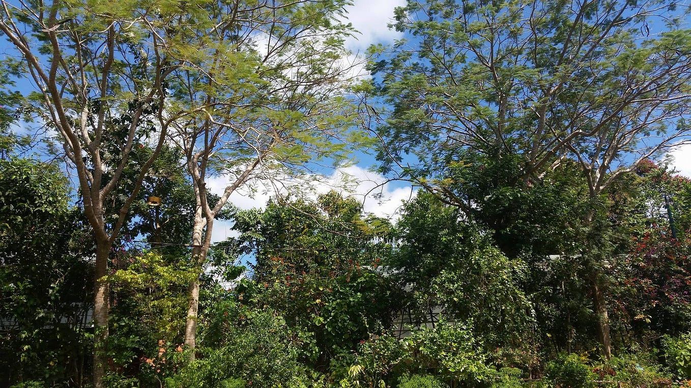 AESTHET IA #1 Art in Everyday. 5) Basketball is work | by Joshua Hendrick Ching | Medium