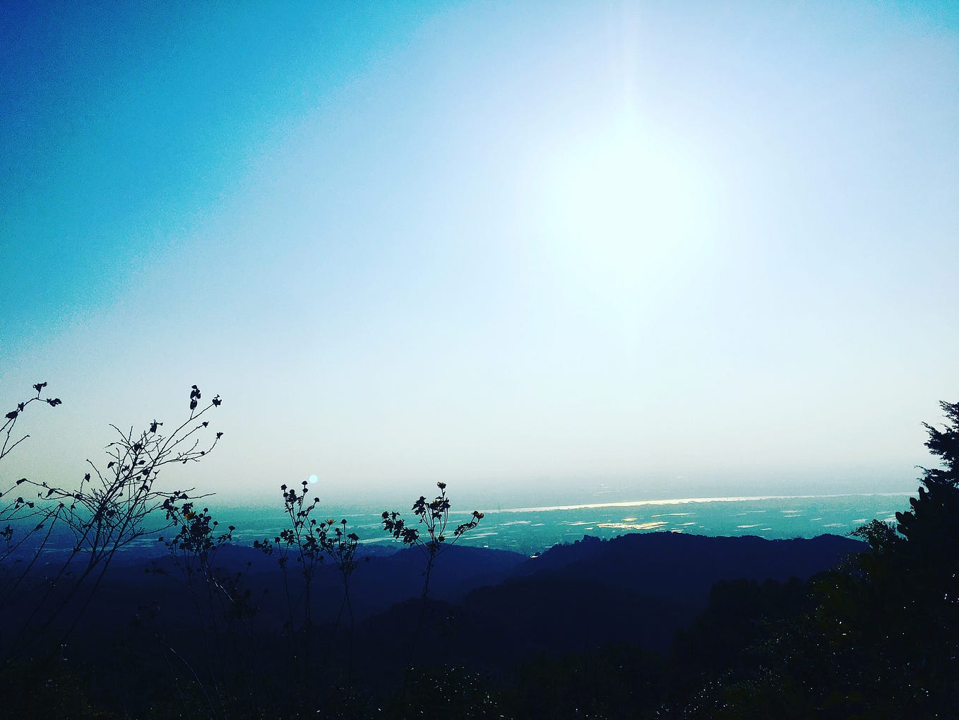 少女 - Carol - Medium