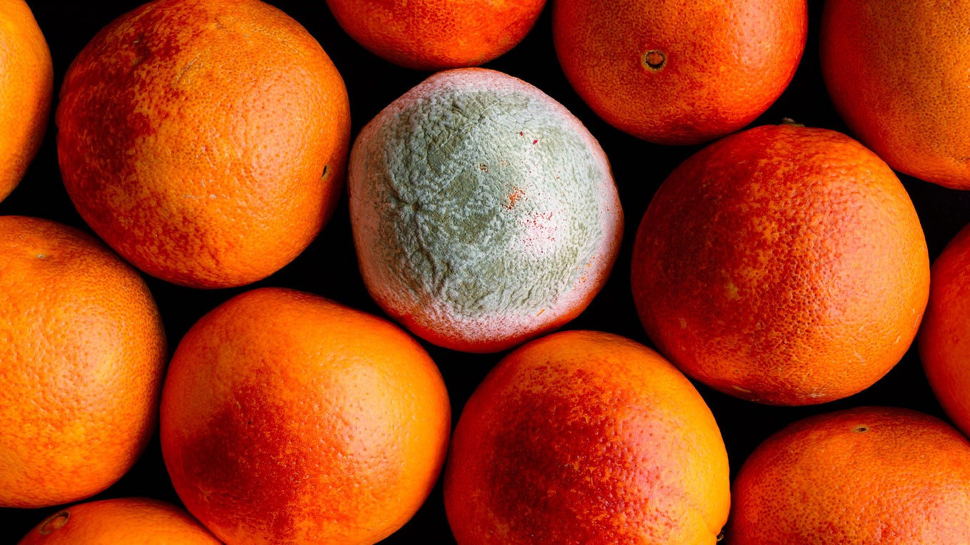 Built-in Quality: How to Improve Software Quality in an Agile Way | by ...
