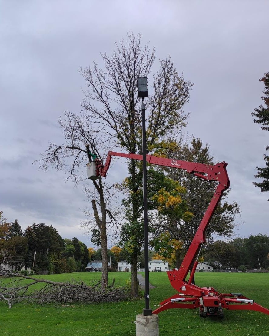 Efficient Tree Removal Services in Syracuse, NY by KD Tree Syracuse ...