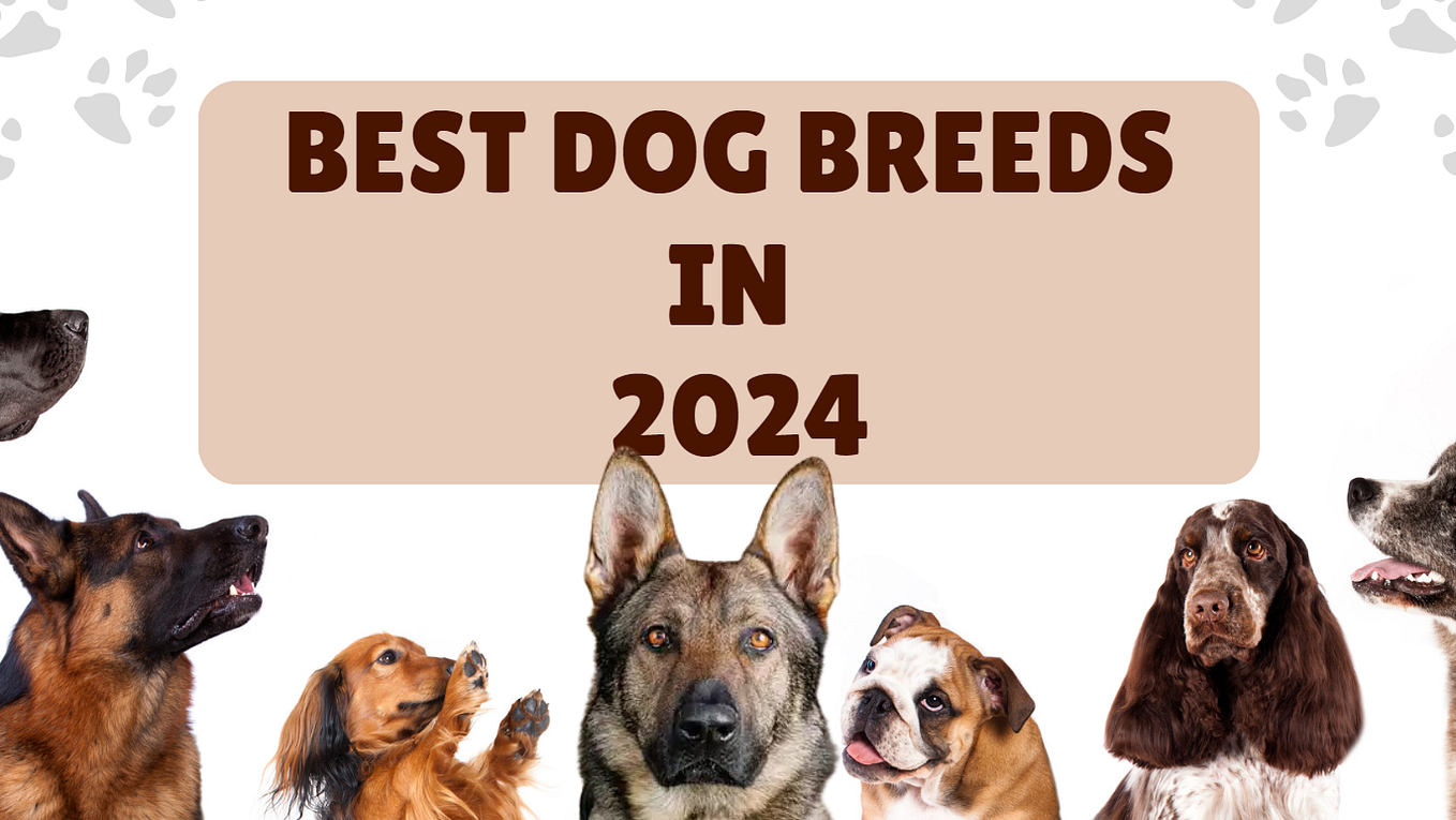 Best Dog Breeds for Families: ThePetWorld.org | by Thomas Mitchell ...