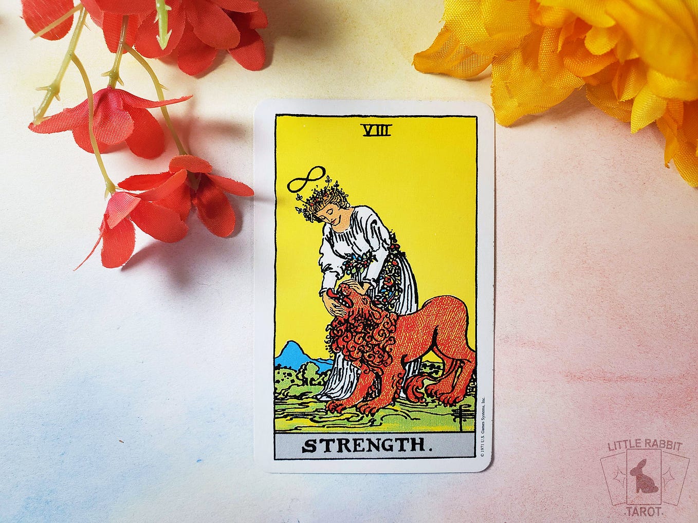 What We Can Learn From ‘The Devil’ — Tarot | by littlerabbittarot | Jun ...