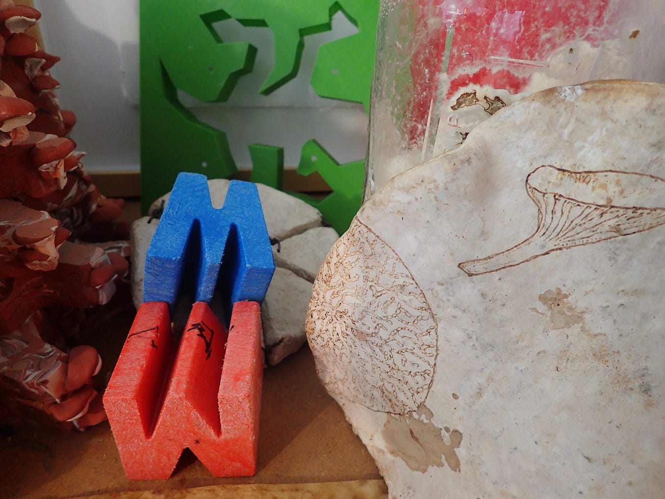 The circuitous path to mycotecture | by Philip Ross | MycoWorks Radio ...
