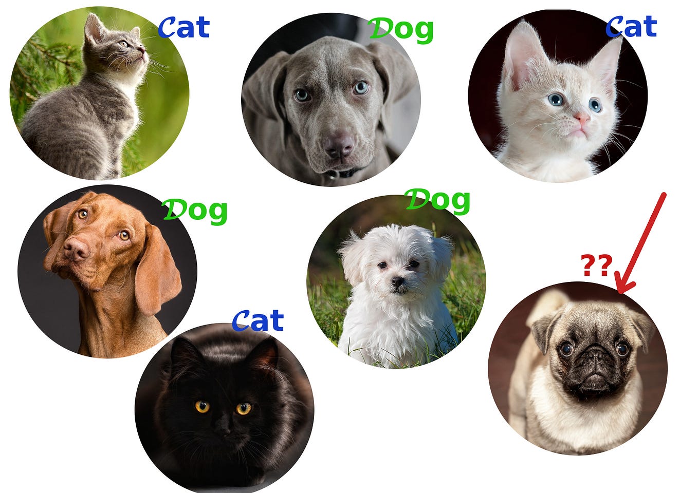 Data Visualization and Matplotlib | by Dilara Şahan | Analytics Vidhya ...