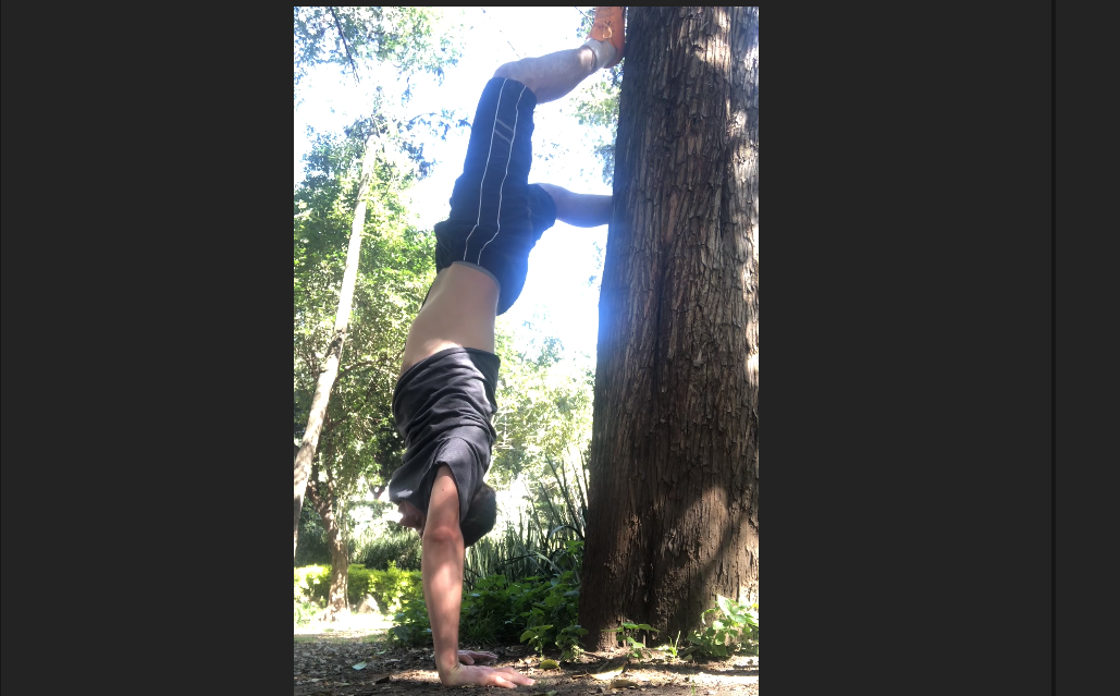 CRUD Firebase Cloud Firestore with React | by Apes Ascendance | JavaScript in Plain English