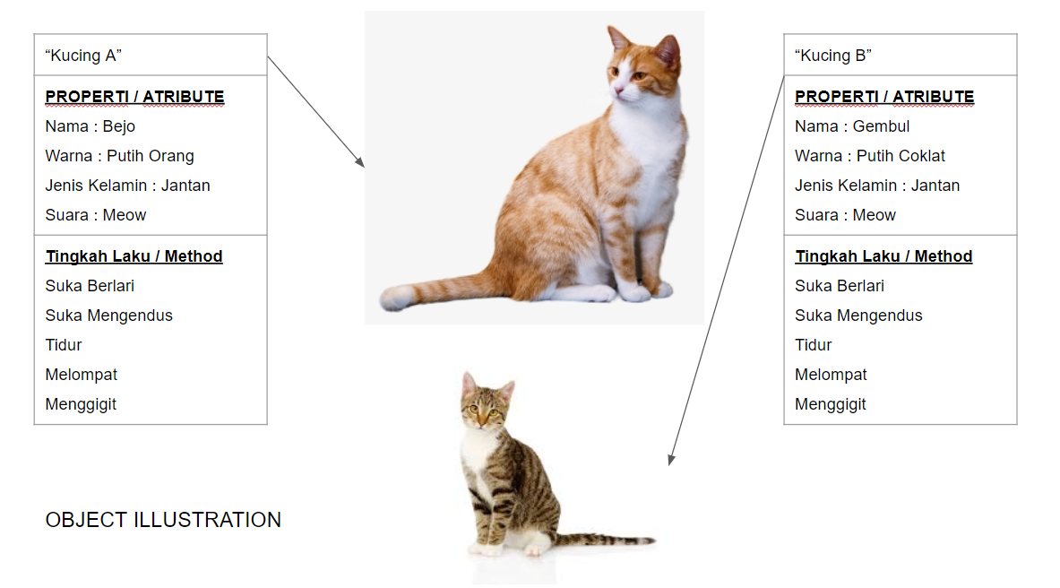 Apa itu kelas diagram, kelas diagram (diagram class) adalah salah satu ...