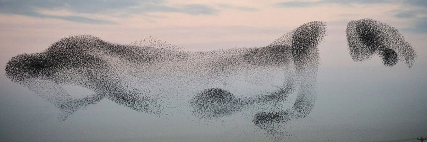 Hour of Code: Programming with Karel | by CodeHS | Medium