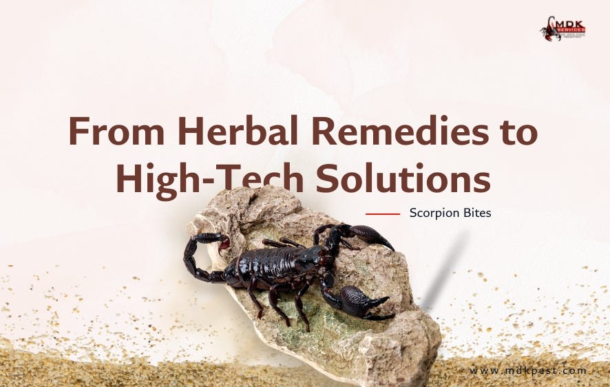 Integrated Pest Management: A Key Strategy for Pest-Free Workspaces | by MDK Services | Aug ...