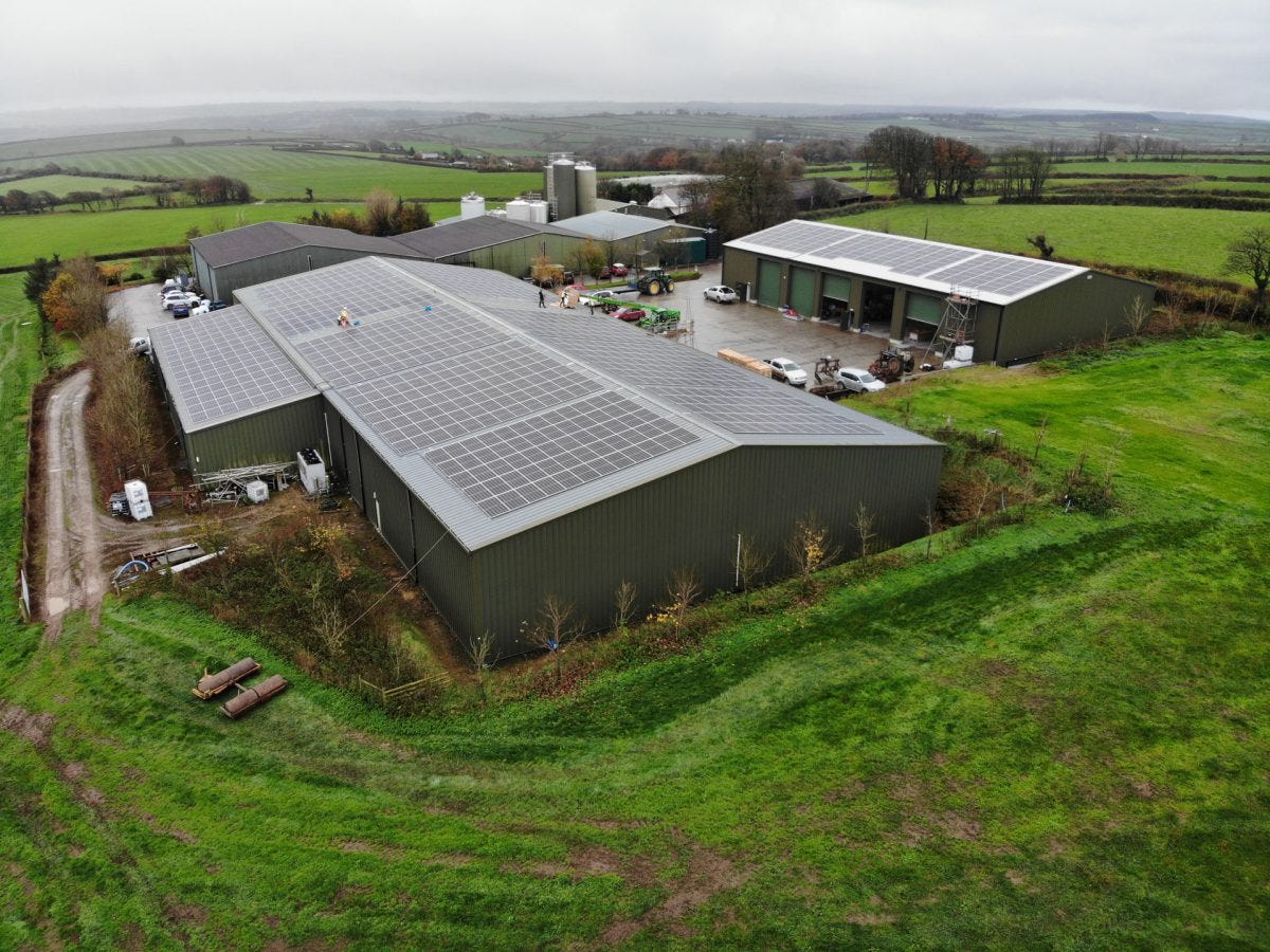 Commercial Solar Panel Installation by Callidus - Callidus - Medium