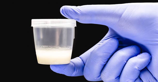 Step By Step Guide Hosting A Laravel Application On Aws Ec2 With Rds By Shair Ali Medium